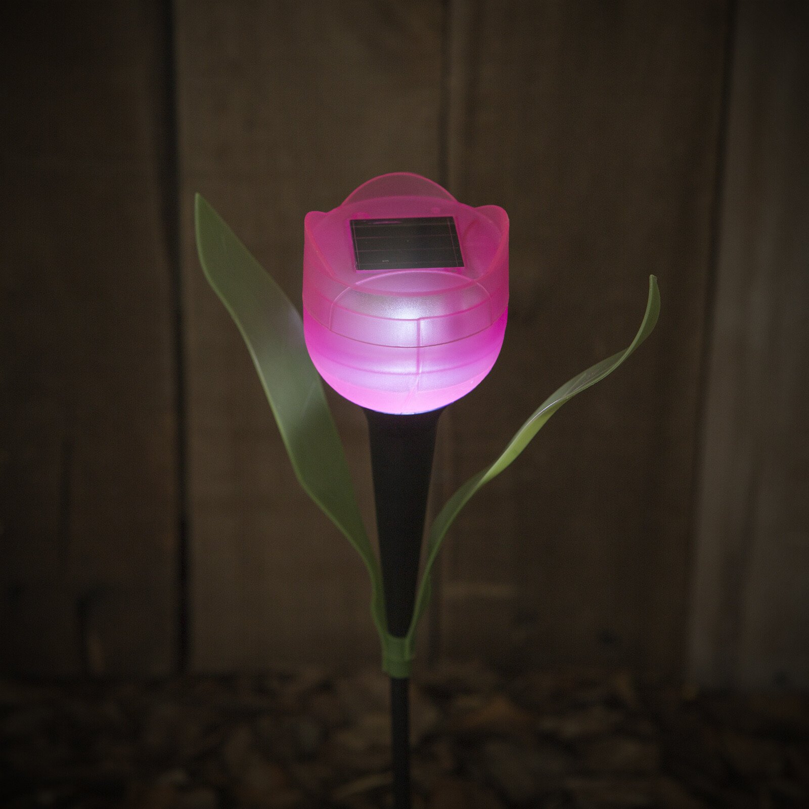 Solar Powered LED Tulip Light - Cridem